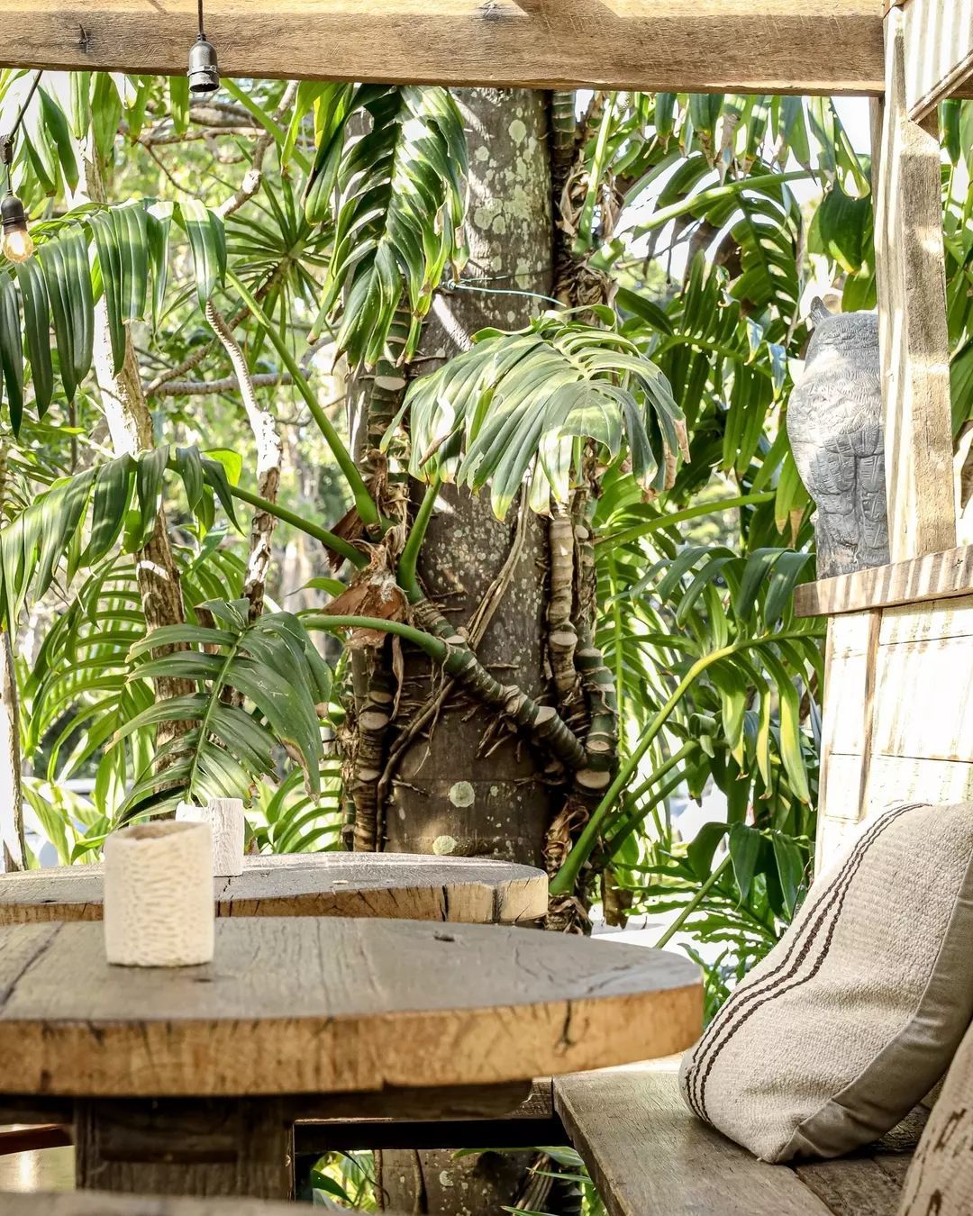About Us - Treehouse Byron Bay
