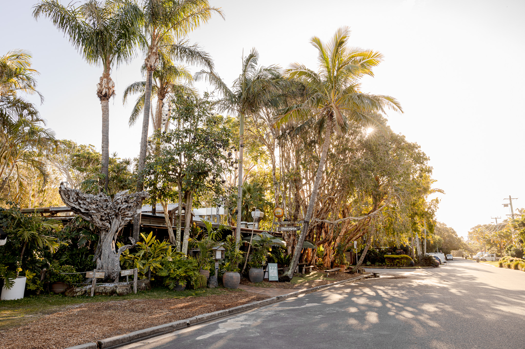 Summer Fridays - Treehouse Byron Bay
